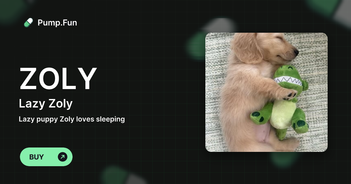 Lazy Zoly (ZOLY) - Pump