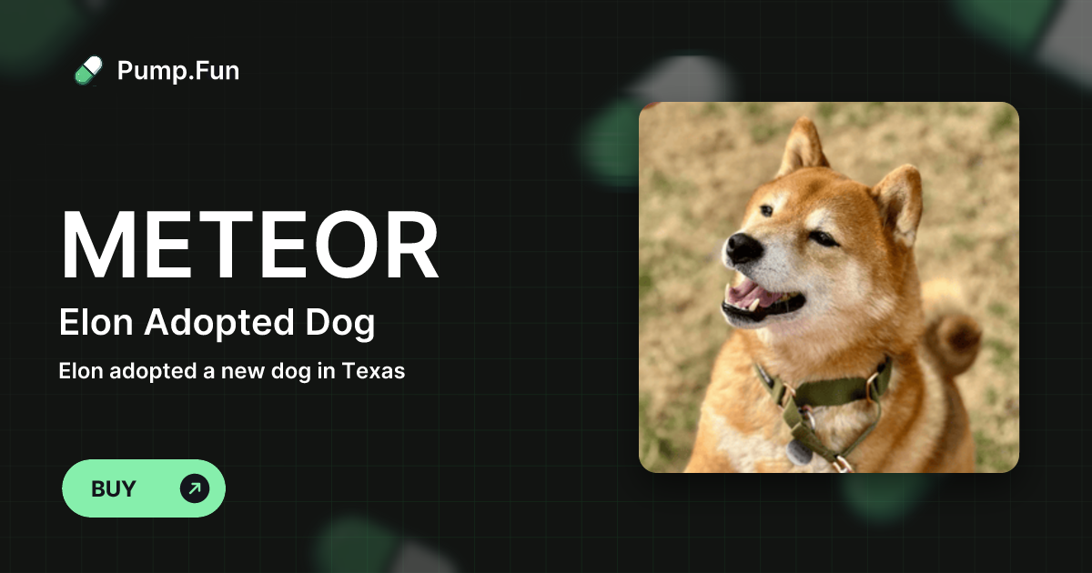 Elon Adopted Dog (METEOR) - Pump