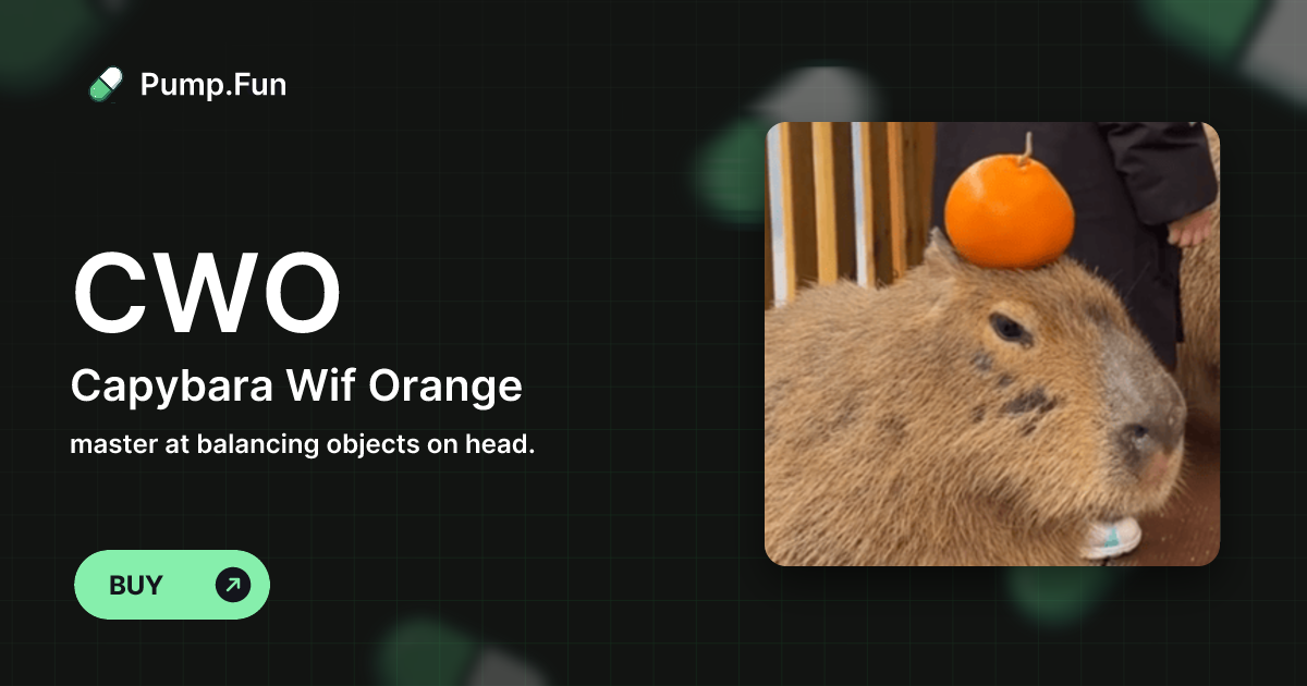 Capybara Wif Orange (CWO) - Pump