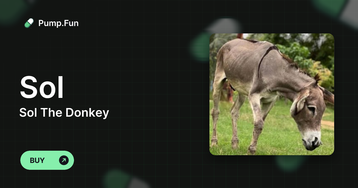 Sol The Donkey (Sol) - Pump