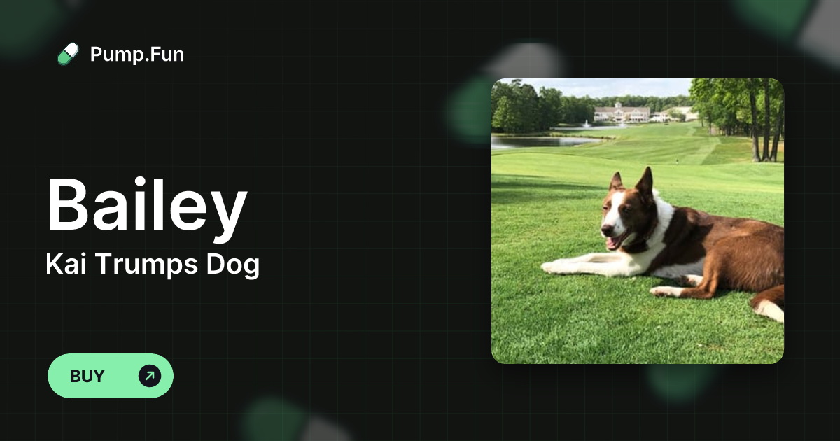Kai Trumps Dog (Bailey) - Pump