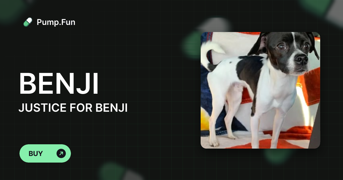 JUSTICE FOR BENJI (BENJI) - Pump