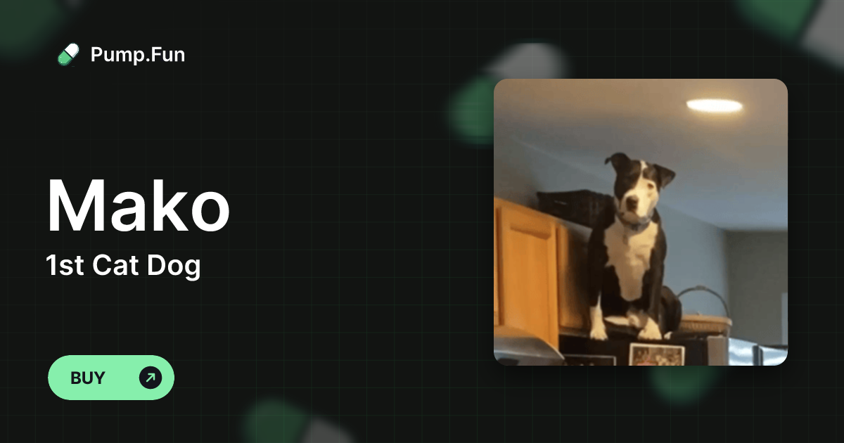 1st Cat Dog (Mako) - Pump