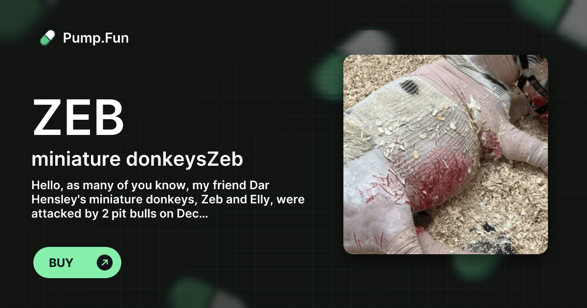 miniature donkeysZeb (ZEB) - Pump