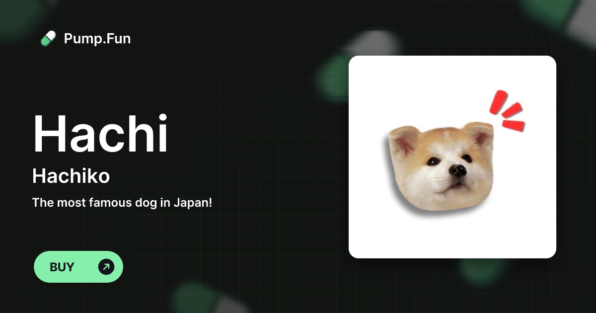Hachiko (Hachi) - Pump