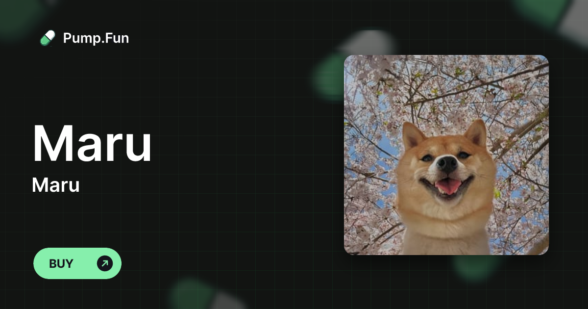 Maru (Maru) - Pump
