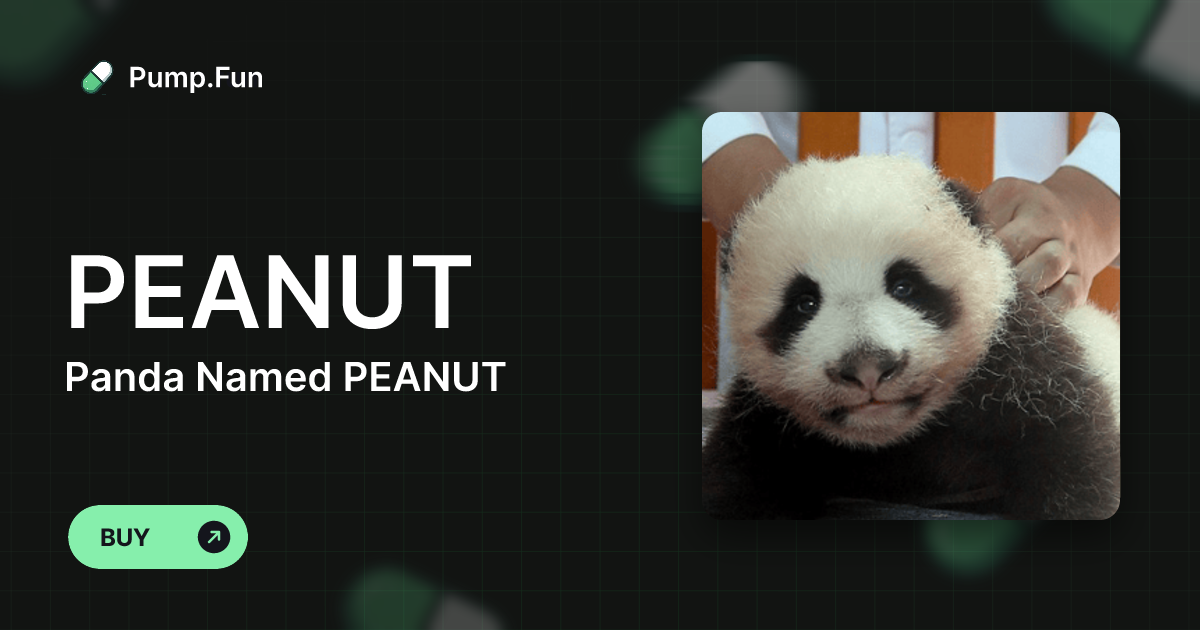 Panda Named PEANUT (PEANUT) - Pump