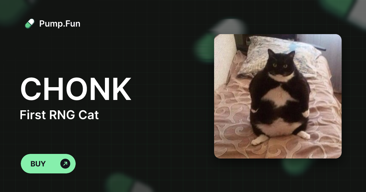 First RNG Cat (CHONK) - Pump