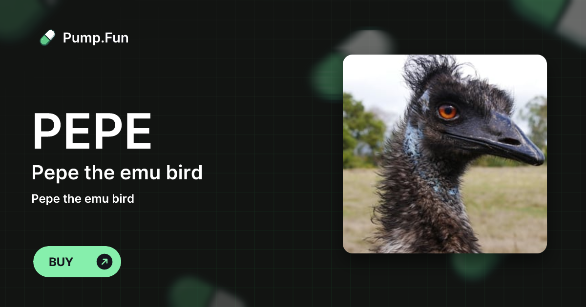 Pepe the emu bird (PEPE) - Pump