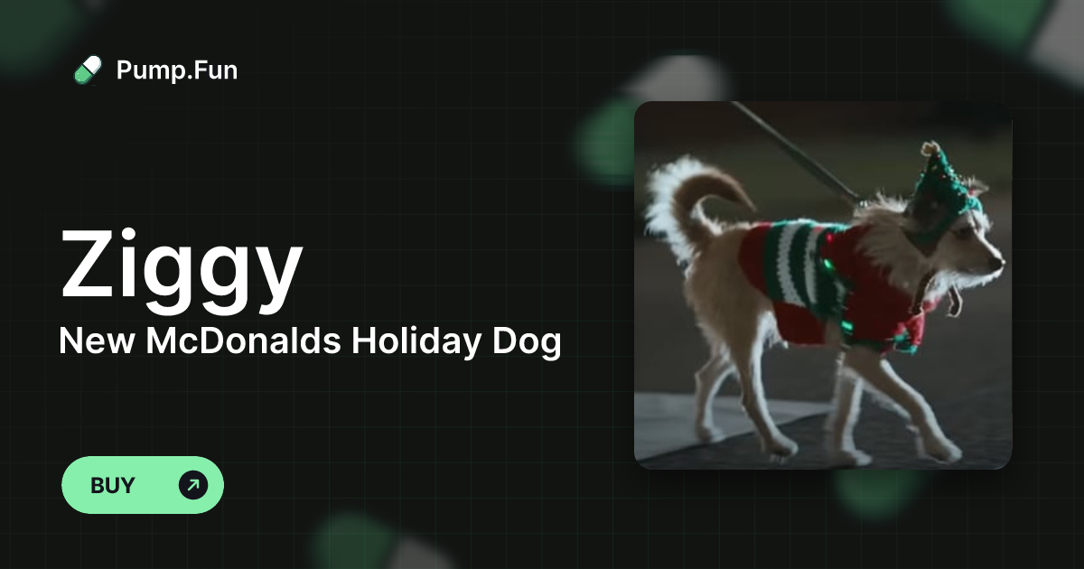 New McDonalds Holiday Dog (Ziggy) - Pump
