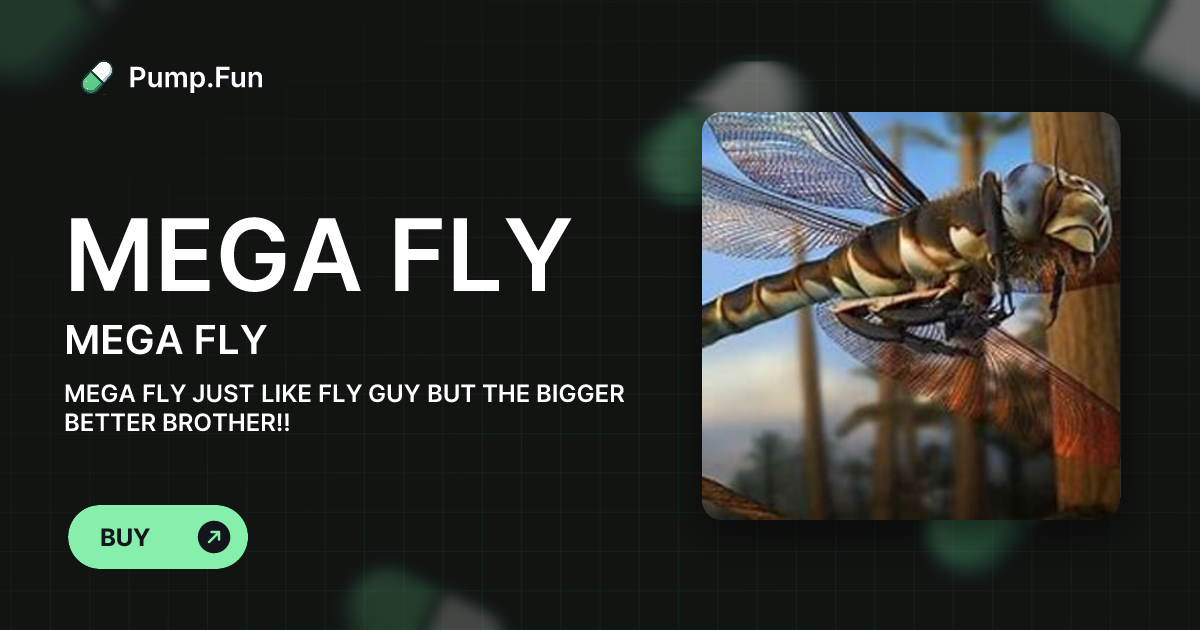 MEGA FLY (MEGA FLY ) - Pump