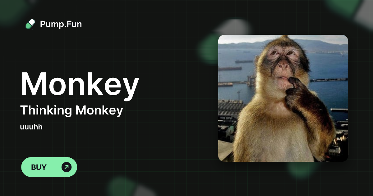 Thinking Monkey (Monkey) - Pump