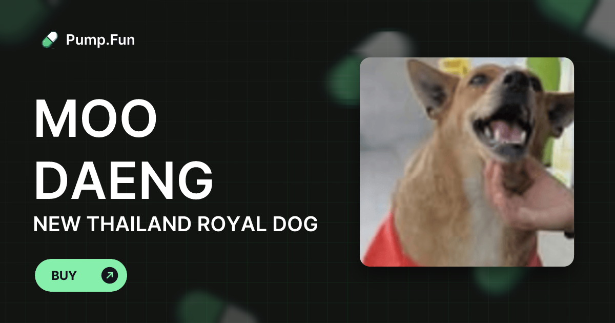 NEW THAILAND ROYAL DOG (MOO DAENG) - Pump