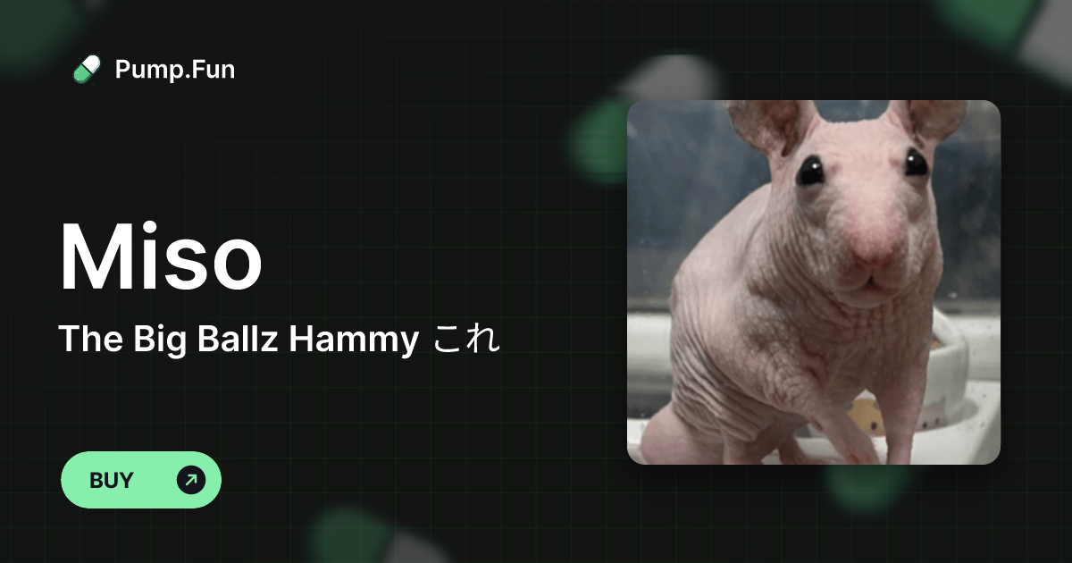 The Big Ballz Hammy これ (Miso) - Pump