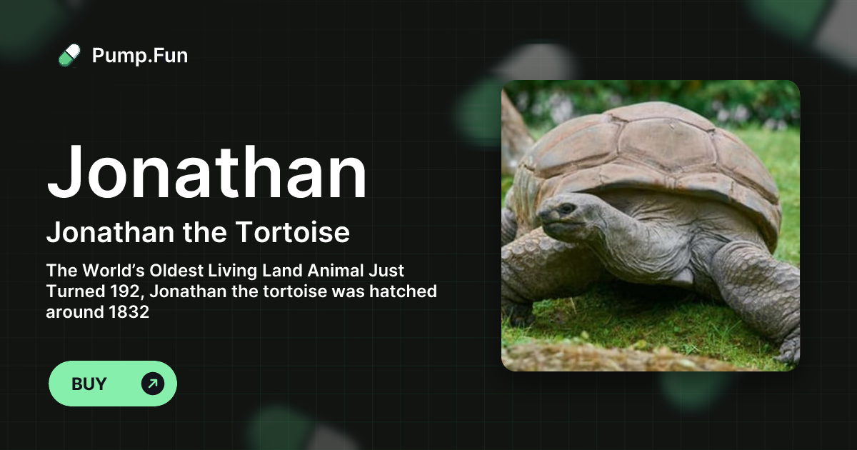 Jonathan the Tortoise (Jonathan) - Pump
