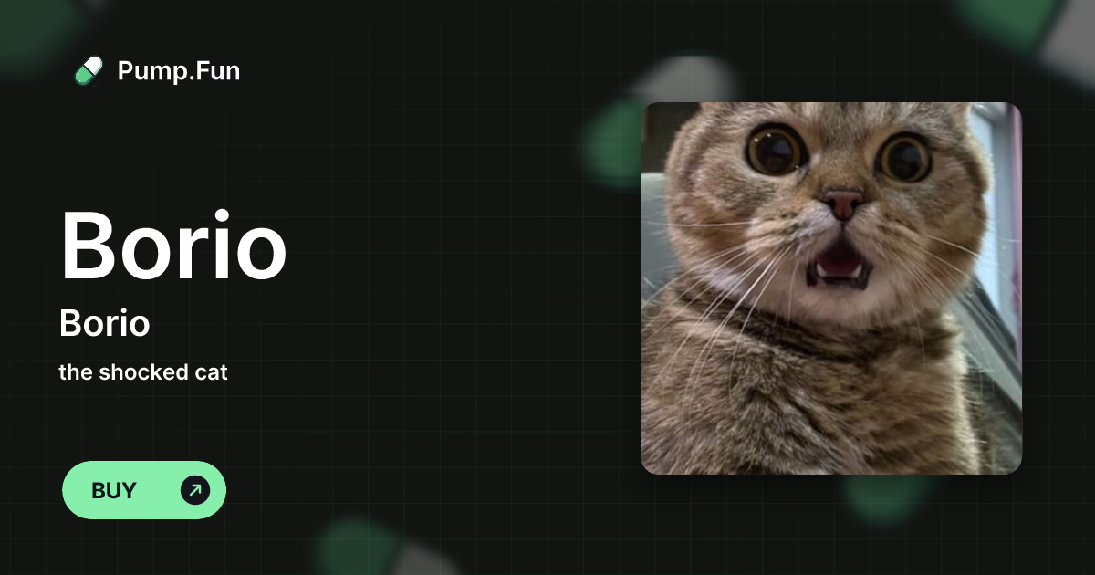 Borio (Borio) - Pump