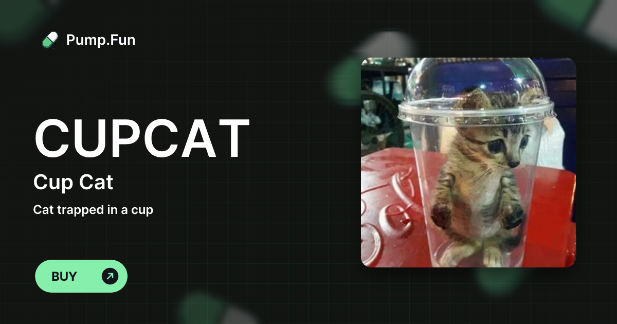 Cup Cat (CUPCAT) - Pump