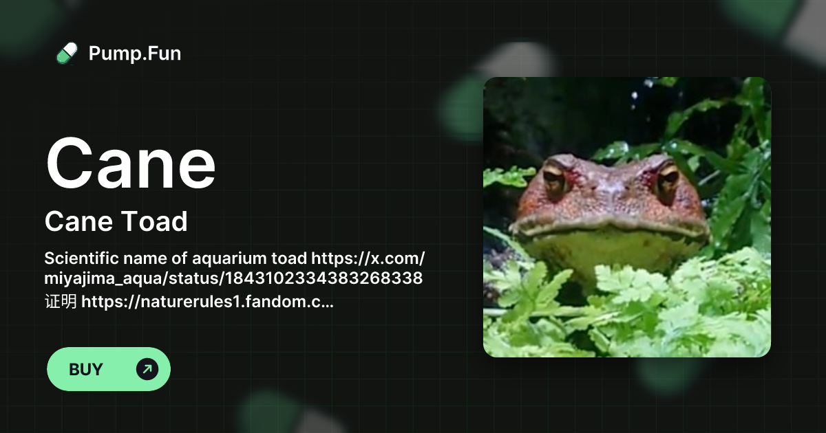 Cane Toad (Cane) - Pump