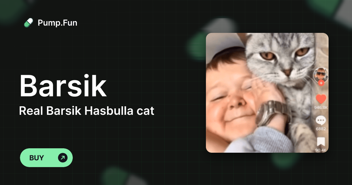 Real Barsik Hasbulla cat (Barsik) - Pump