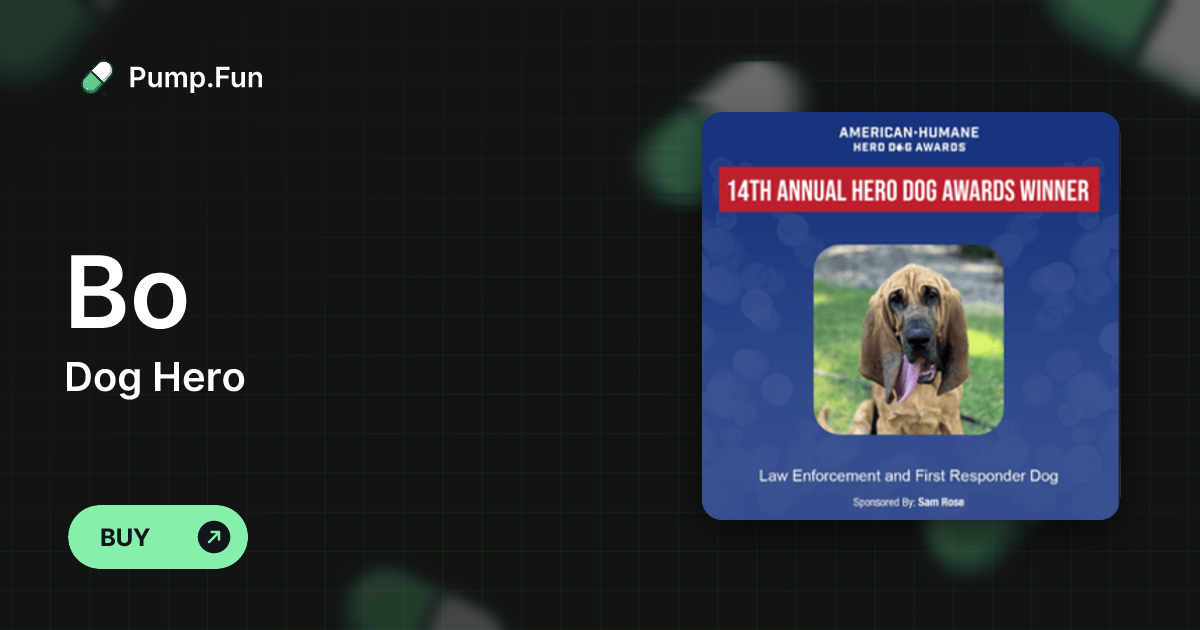 Dog Hero (Bo) - Pump