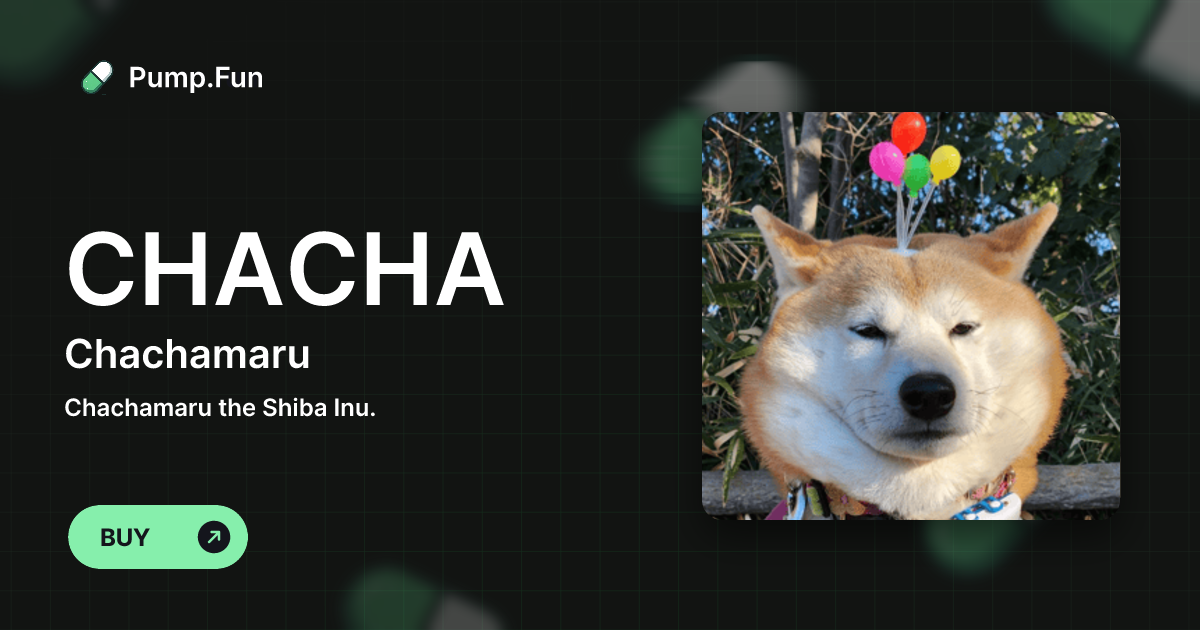 Chachamaru (CHACHA) - Pump