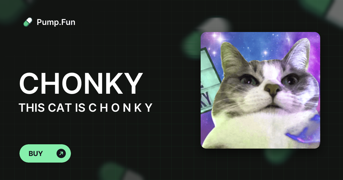 THIS CAT IS C H O N K Y (CHONKY) - Pump