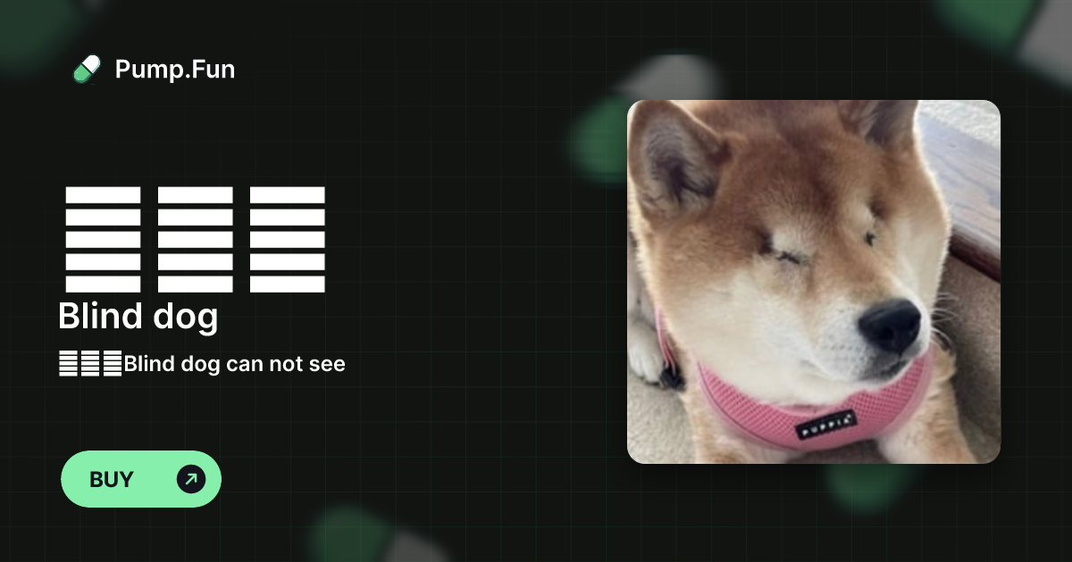 Blind dog (⠙⠕⠛) - Pump