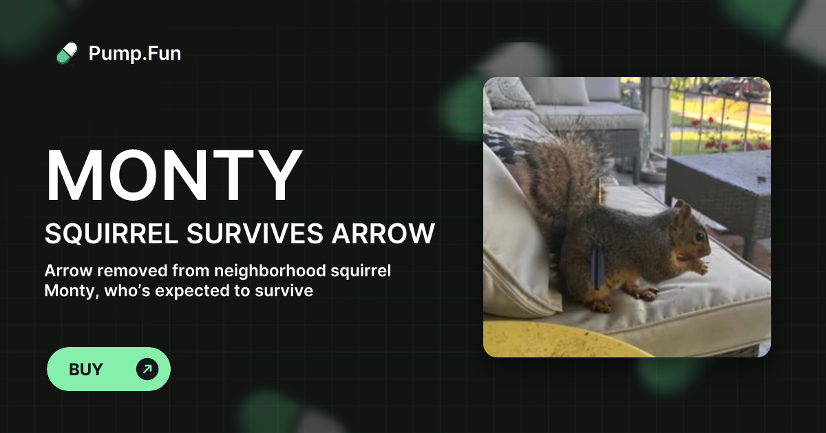 SQUIRREL SURVIVES ARROW (MONTY) - Pump