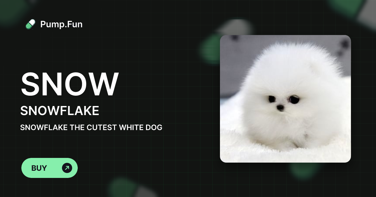 SNOWFLAKE (SNOW) - Pump