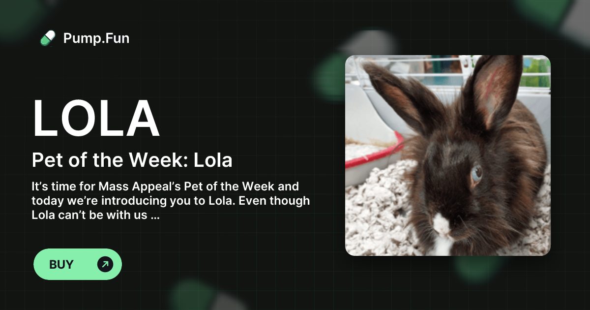 Pet of the Week: Lola (LOLA) - Pump