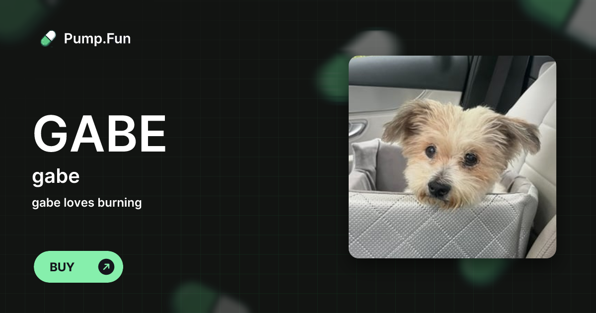 gabe (GABE) - Pump