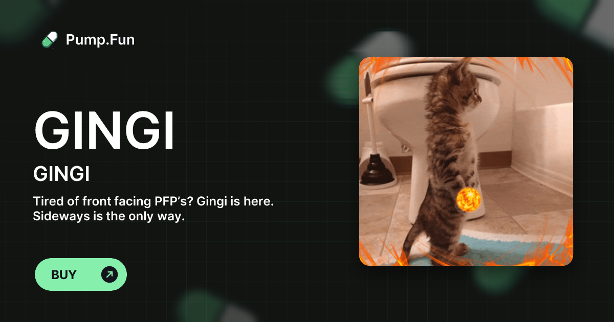 GINGI (GINGI) - Pump