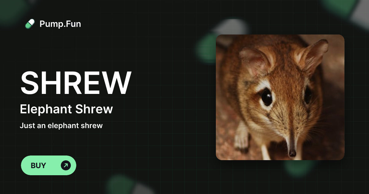 Elephant Shrew (SHREW) - Pump