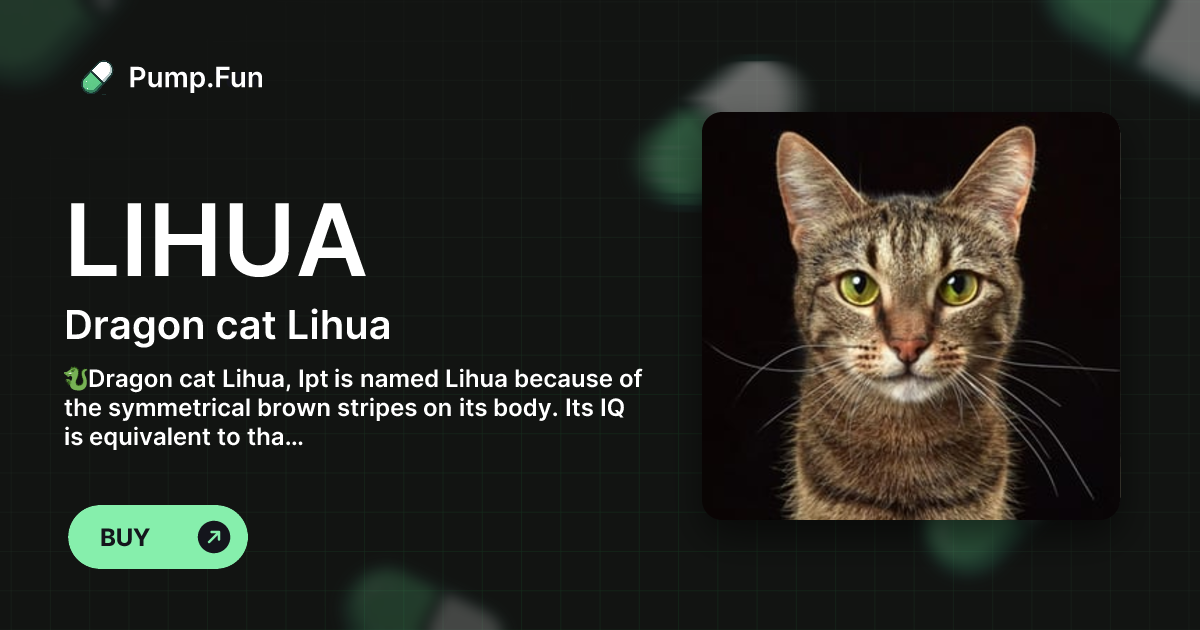 Dragon cat Lihua (LIHUA) - Pump