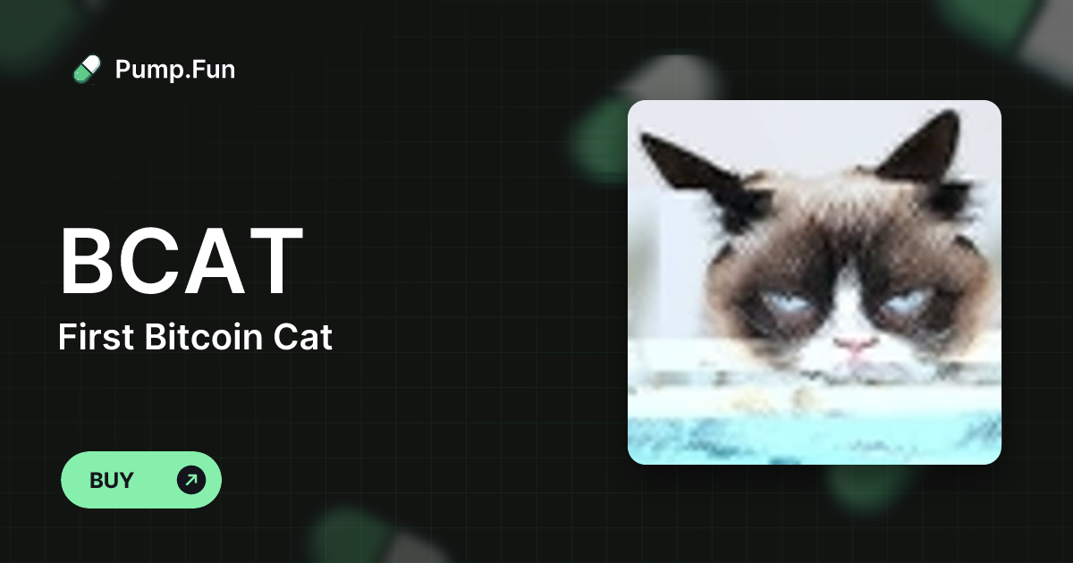 First Bitcoin Cat (BCAT) - Pump