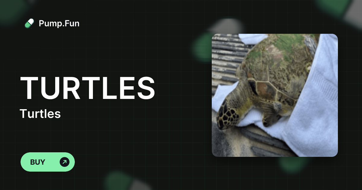 Turtles (TURTLES) - Pump