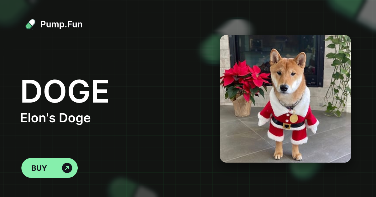 Elon's Doge (DOGE) - Pump