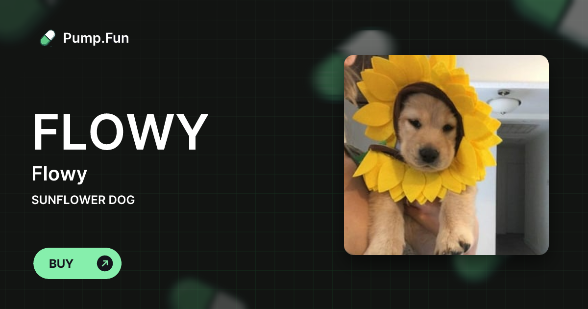 Flowy (FLOWY) - Pump