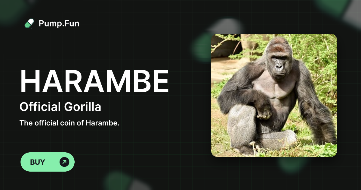 Official Gorilla (HARAMBE) - Pump