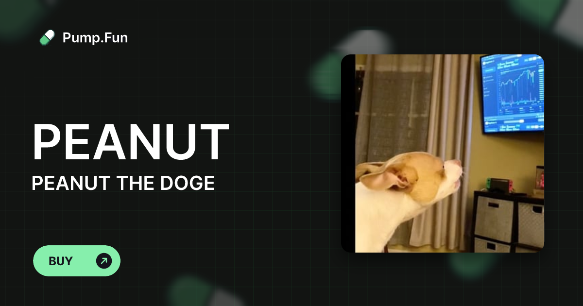 PEANUT THE DOGE (PEANUT) - Pump