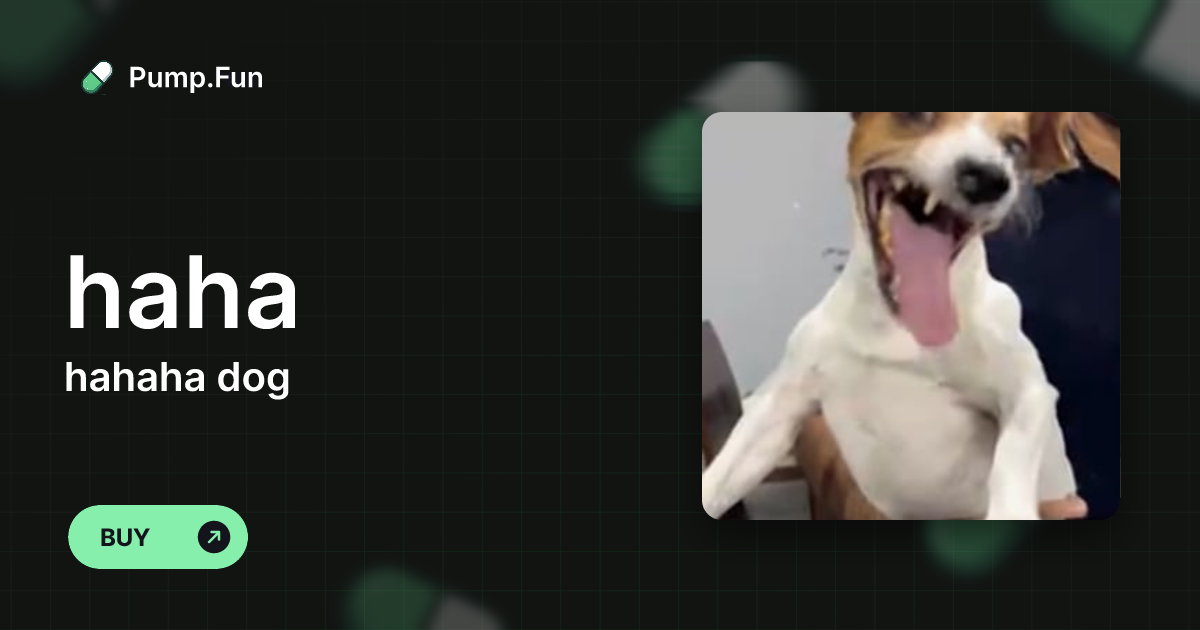hahaha dog (haha) - Pump