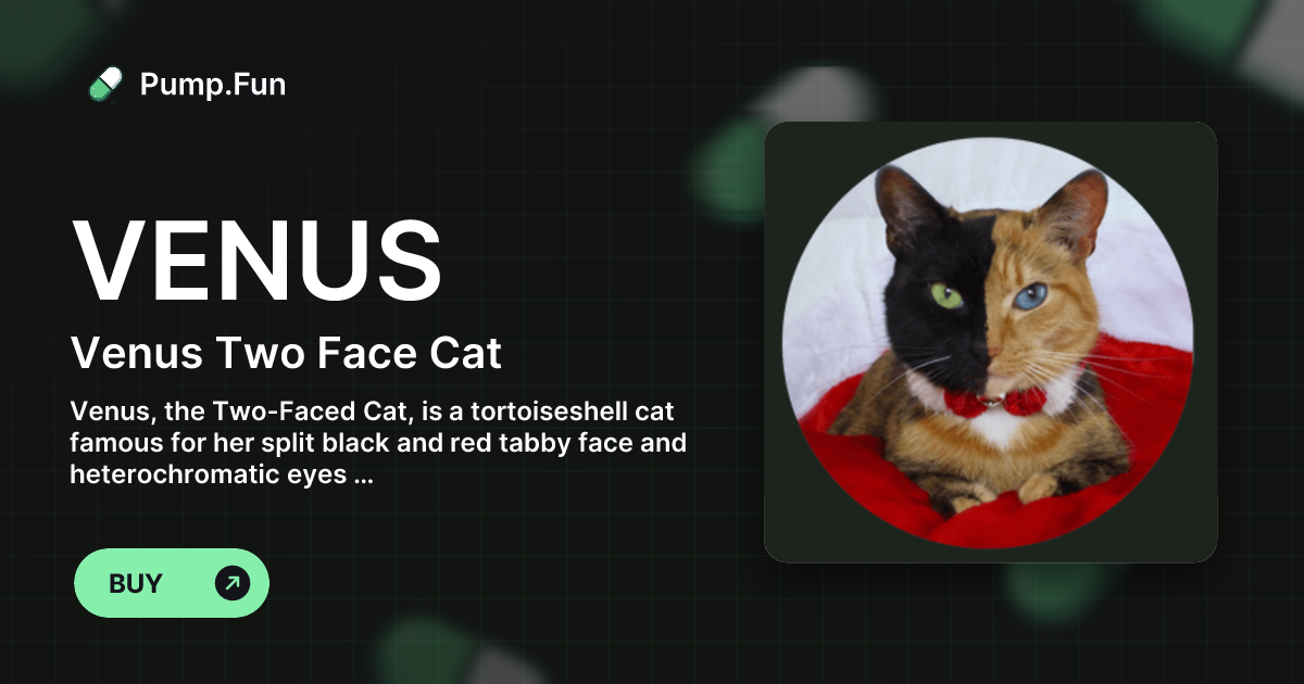 Venus Two Face Cat (VENUS) - Pump