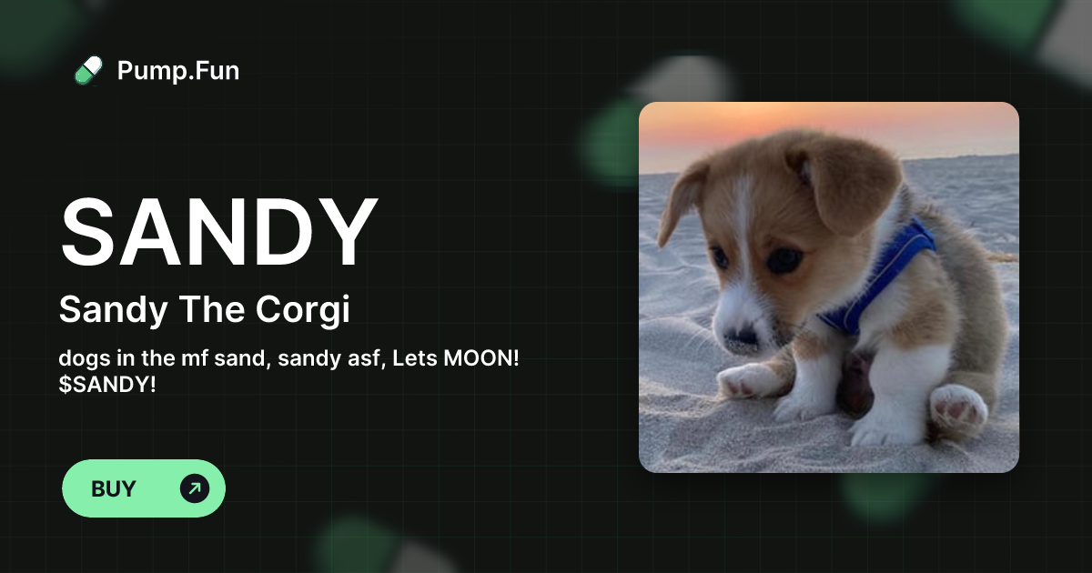 Sandy The Corgi (SANDY) - Pump