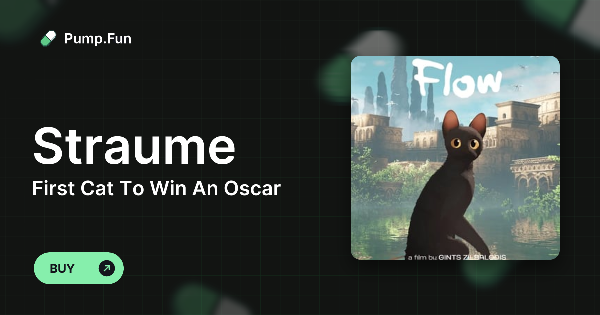 First Cat To Win An Oscar (Straume) - Pump