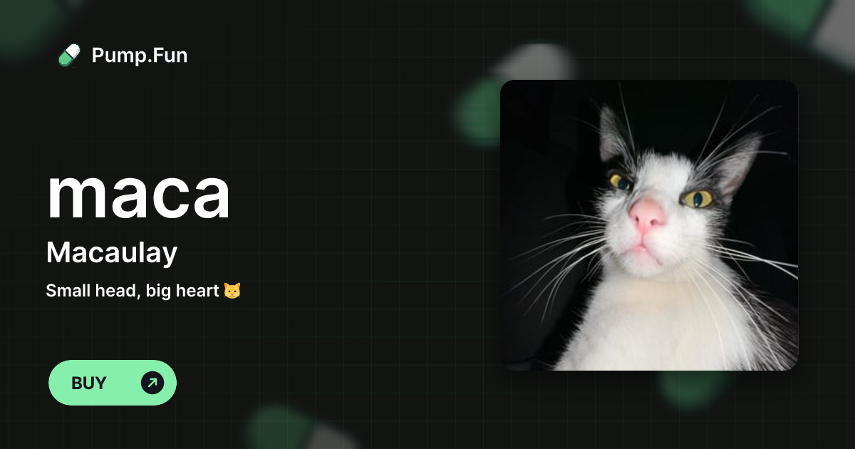 Macaulay (maca) - Pump