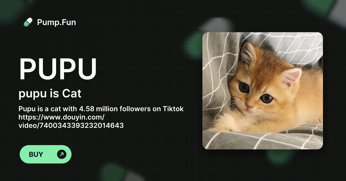 pupu is Cat (PUPU) - Pump