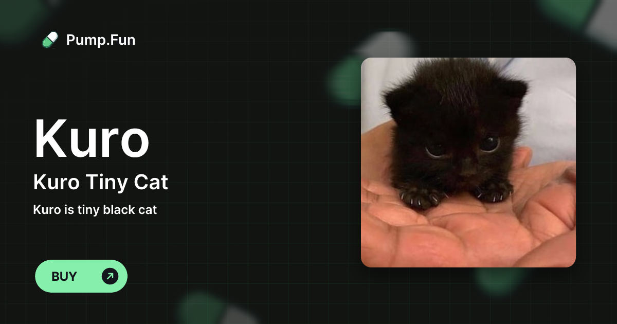 Kuro Tiny Cat (Kuro) - Pump