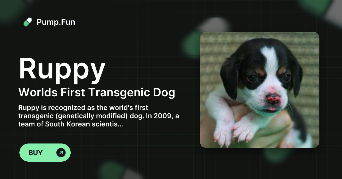 Worlds First Transgenic Dog (Ruppy) - Pump