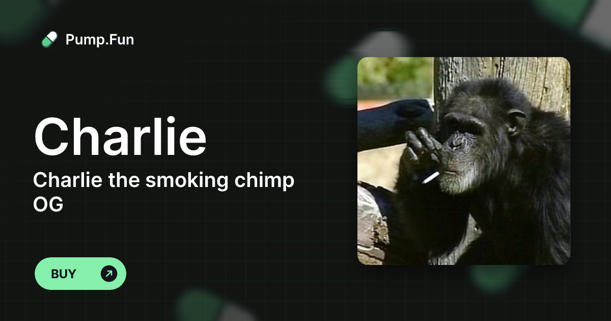Charlie the smoking chimp OG (Charlie ) - Pump