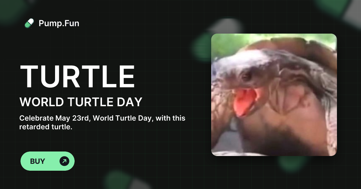 WORLD TURTLE DAY (TURTLE) - Pump